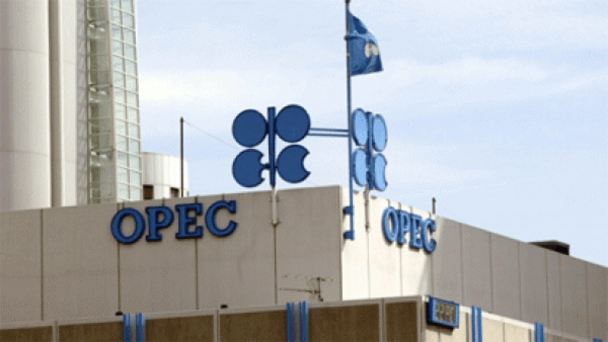 OPEC says global oil consumption will hit 123 million bpd by 2050 – The ...